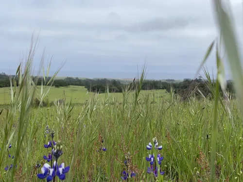 Best 10 Hiking Trails in Pogonip Open Space Preserve | AllTrails