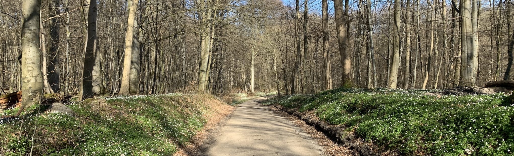 Lystrup Skov | Map, Guide - Capital Region of Denmark, Denmark | AllTrails