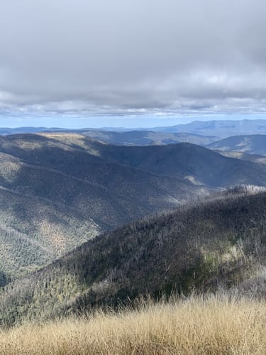 2023 Best Off Road Driving Trails in Alpine National Park | AllTrails