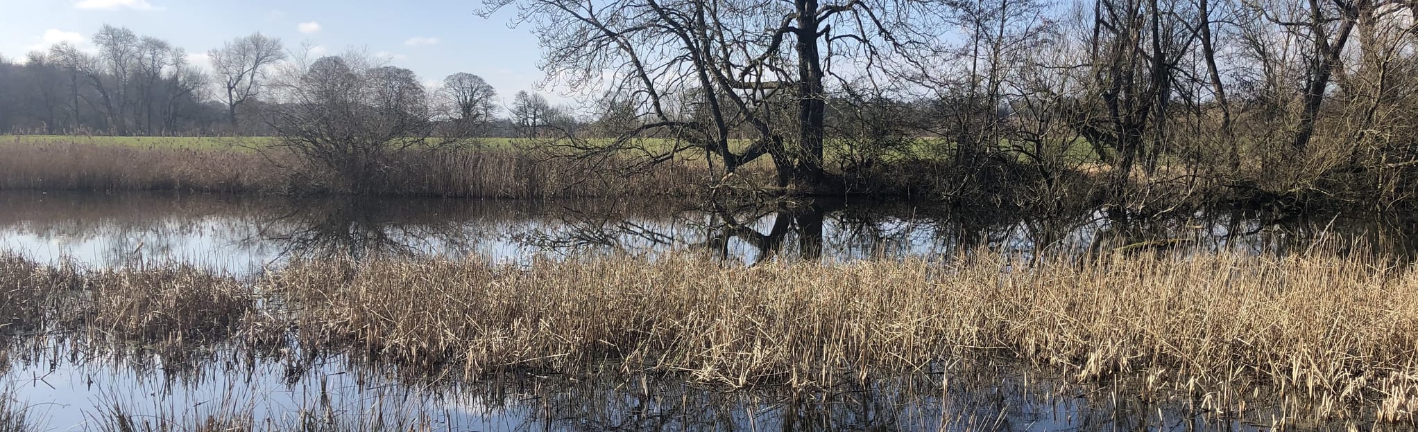 Sunderland Bridge and Croxdale Wood Circular: 99 Reviews, Map - County ...