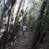 Majik Forest via Amandel Dam, Western Cape, South Africa - 24 Reviews ...
