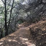 Majik Forest via Amandel Dam, Western Cape, South Africa - 24 Reviews ...