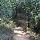 Majik Forest via Amandel Dam, Western Cape, South Africa - 24 Reviews ...