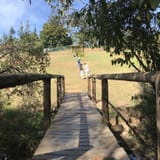Majik Forest via Amandel Dam, Western Cape, South Africa - 24 Reviews ...