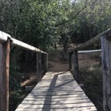 Majik Forest via Amandel Dam, Western Cape, South Africa - 24 Reviews ...