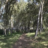 Majik Forest via Amandel Dam, Western Cape, South Africa - 24 Reviews ...