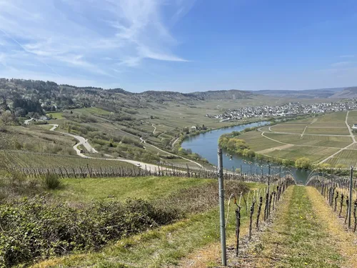 Best Camping Trails in Trittenheim | AllTrails