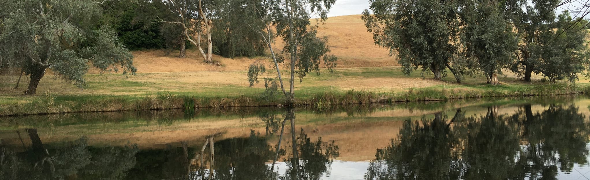 AllTrails | Lost Lake Nature Trail: 155 Reviews, Map - California