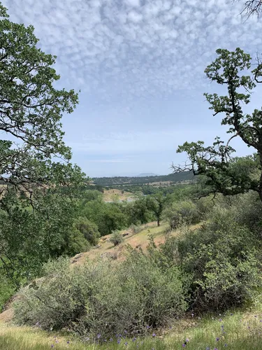 10 Best Trails and Hikes in Red Bluff | AllTrails