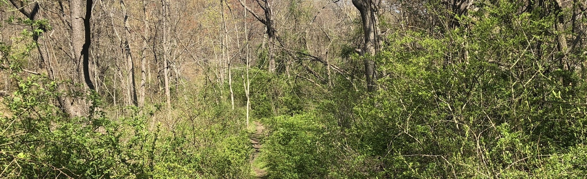 Sunny Ridge Preserve Motts Hill Loop | Map, Guide - New York | AllTrails