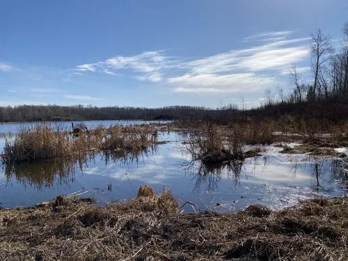 10 Best Horse Riding Trails in Cooking Lake/Blackfoot Provincial ...