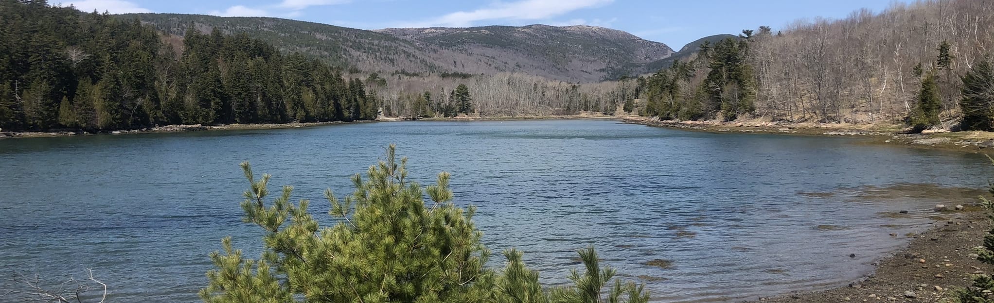 Quarry Path and Otter Cove Trail : 587 foto's - Maine | Wandelen ...