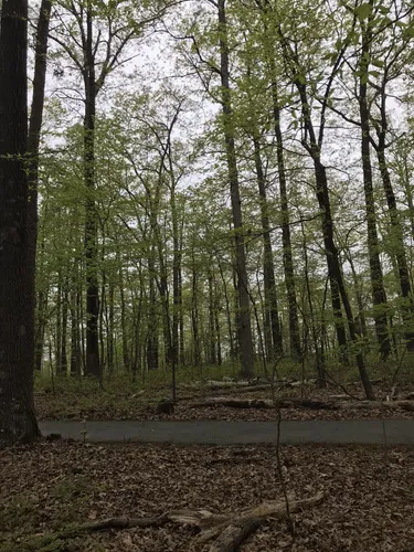 10 Best Walking Trails in Reston | AllTrails