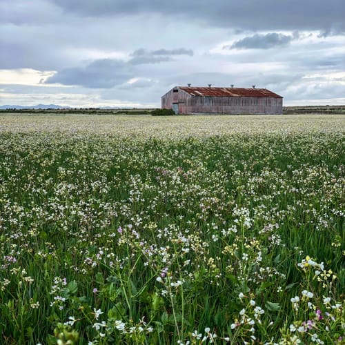 Best Hikes and Trails in San Pablo Bay National Wildlife Refuge | AllTrails