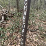 Hogback Mountain via Charcoal Trail, Pennsylvania - 33 Reviews, Map ...