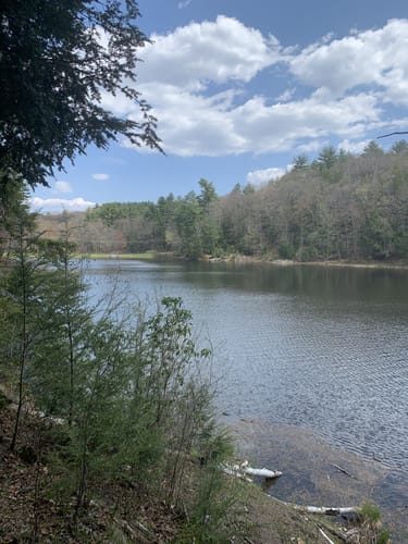 Best 10 Hikes and Trails in Mount Tom State Reservation | AllTrails