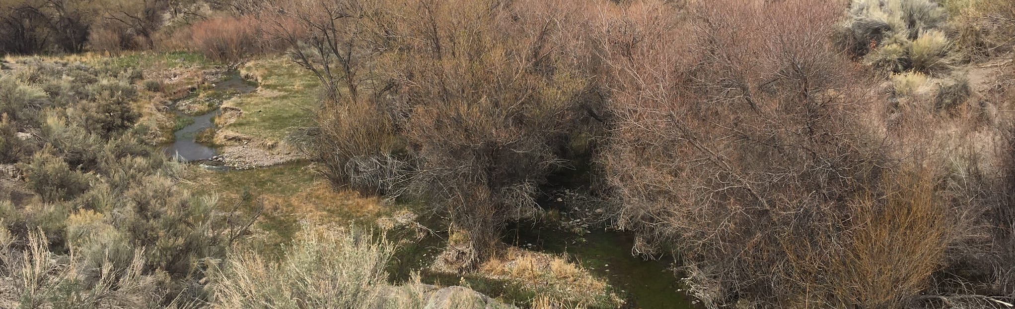 Ash Canyon and Echo Canyon Reservoir Loop, Nevada - 41 Reviews, Map ...