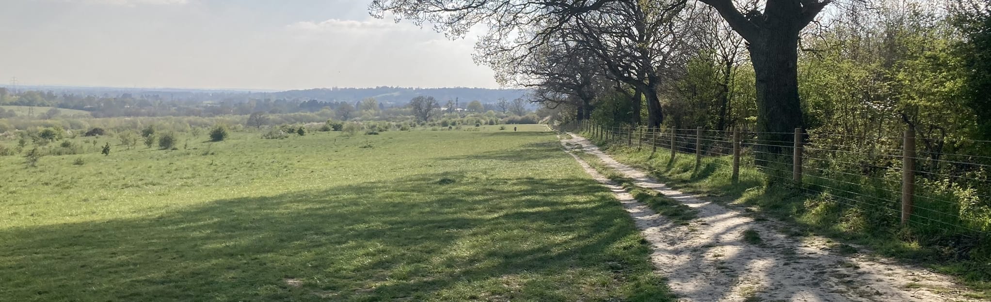 Merry Hill Circular: 34 Reviews, Map - Hertfordshire, England | AllTrails