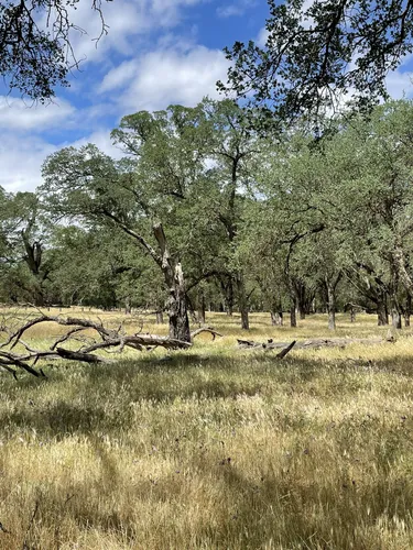 10 Best Trails and Hikes in Roseville | AllTrails