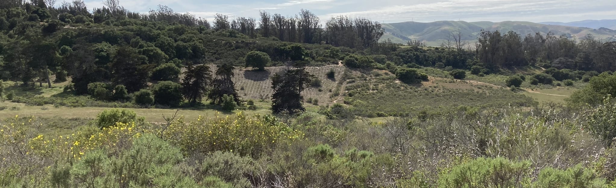 Orcutt Hills Coyote Loop | Map, Guide - California | AllTrails