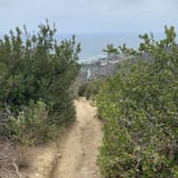 Aliso Summit Trail, California - 319 Reviews, Map | AllTrails