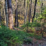 Martin Head, New Brunswick, Canada - 17 Reviews, Map | AllTrails
