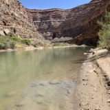 Honaker Trail, Utah - 94 Reviews, Map | AllTrails