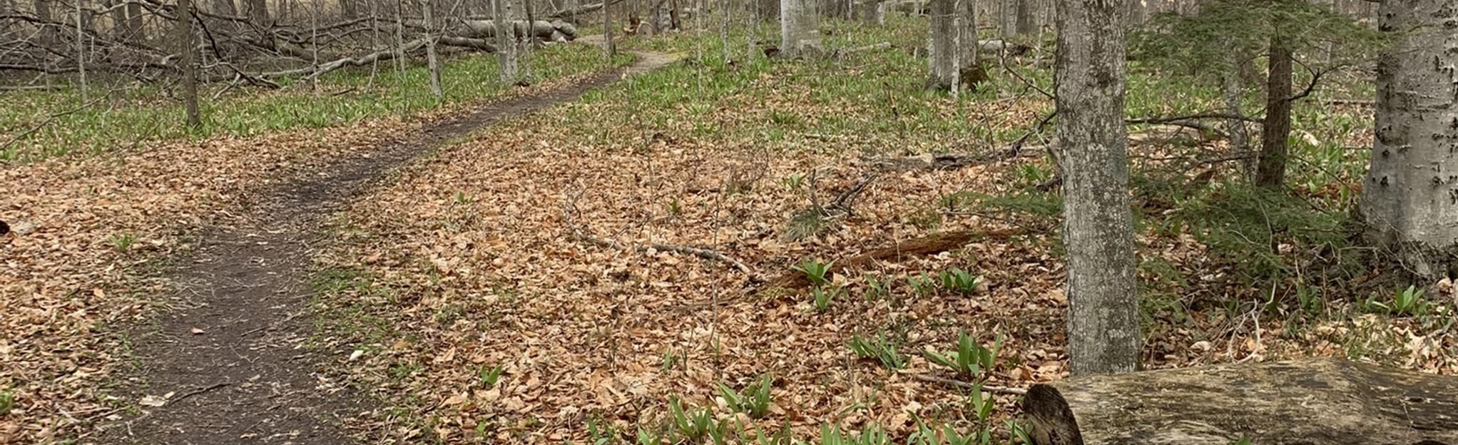 Logan Creek Trail: 30 Reviews, Map - Wisconsin | AllTrails