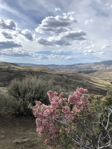 10 Best Long Trails in Humboldt-Toiyabe National Forest | AllTrails