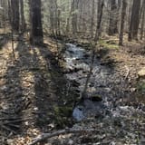 Ware River Rail Trail, Massachusetts - 76 Reviews, Map | AllTrails