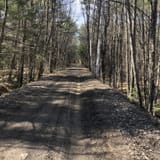 Ware River Rail Trail, Massachusetts - 76 Reviews, Map | AllTrails