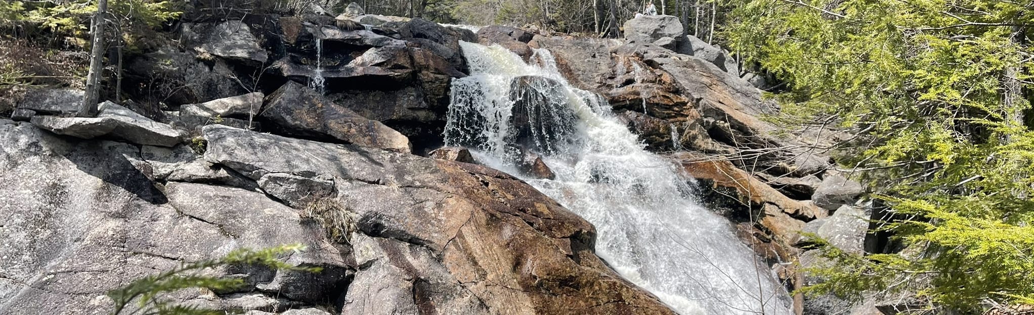 Georgiana and Harvard Falls Trail - New Hampshire | AllTrails