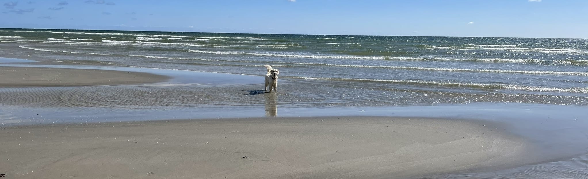 Hals Strand Camping - Stranden: 16 Reviews, Map - North Denmark ...