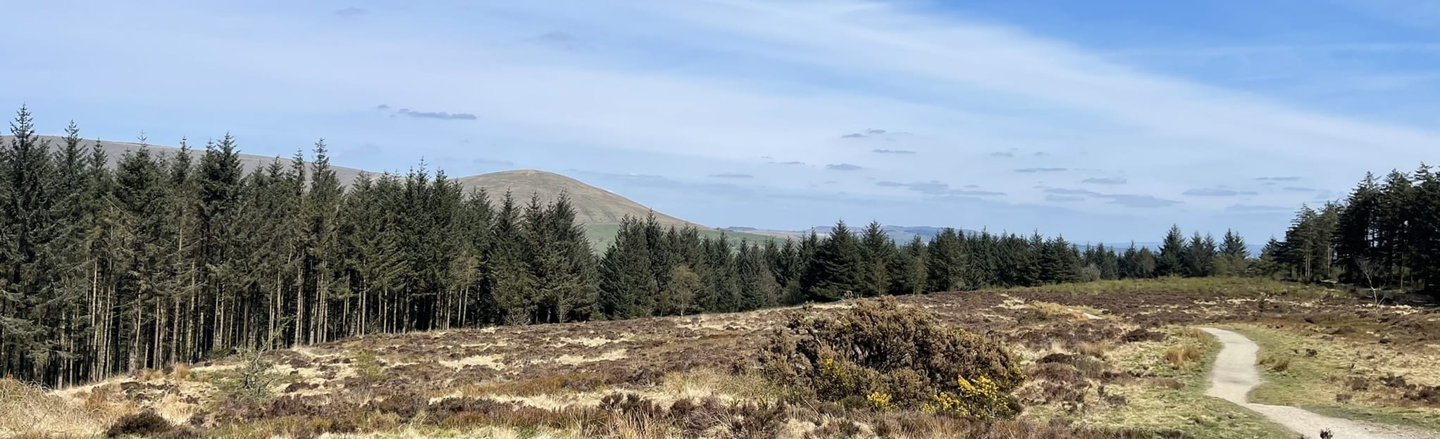 Beacon Fell Summit Circular: 138 Reviews, Map - Lancashire, England ...