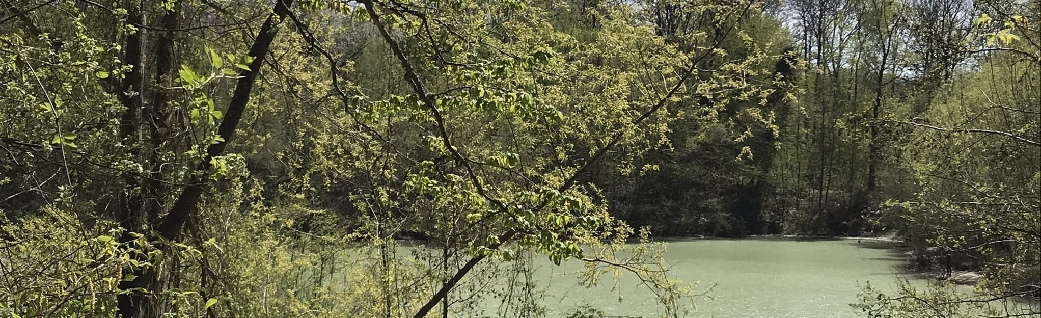 Forêt de Carnelle - Lac Bleu - Bois aux Dames: 15 Reviews, Map - Val-d ...