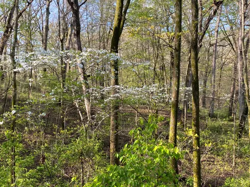 Best Hikes and Trails in August A Busch Memorial Conservation Area ...