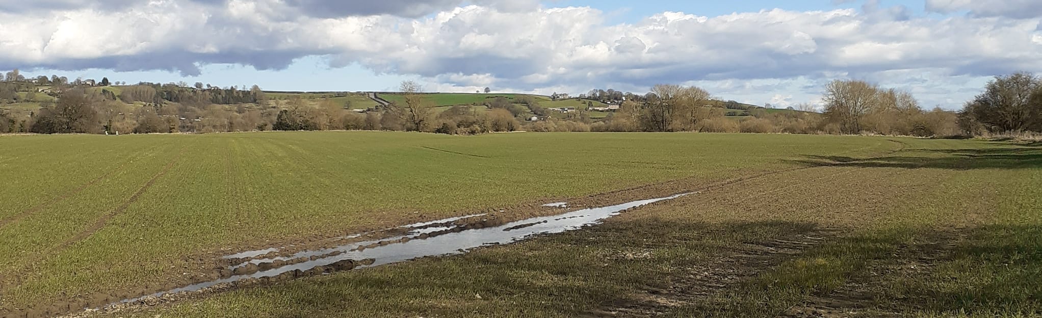 River Wharfe Circular: 9 Reviews, Map - West Yorkshire, England | AllTrails