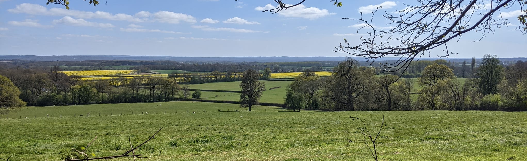 The Haycutter Oxted Circular, Surrey, England - 252 Reviews, Map ...