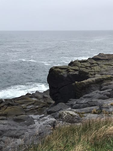 Best Hikes and Trails in Boiler Bay State Scenic Viewpoint | AllTrails