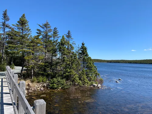 10 Best Trails and Hikes in Portugal Cove-St. Philip's | AllTrails