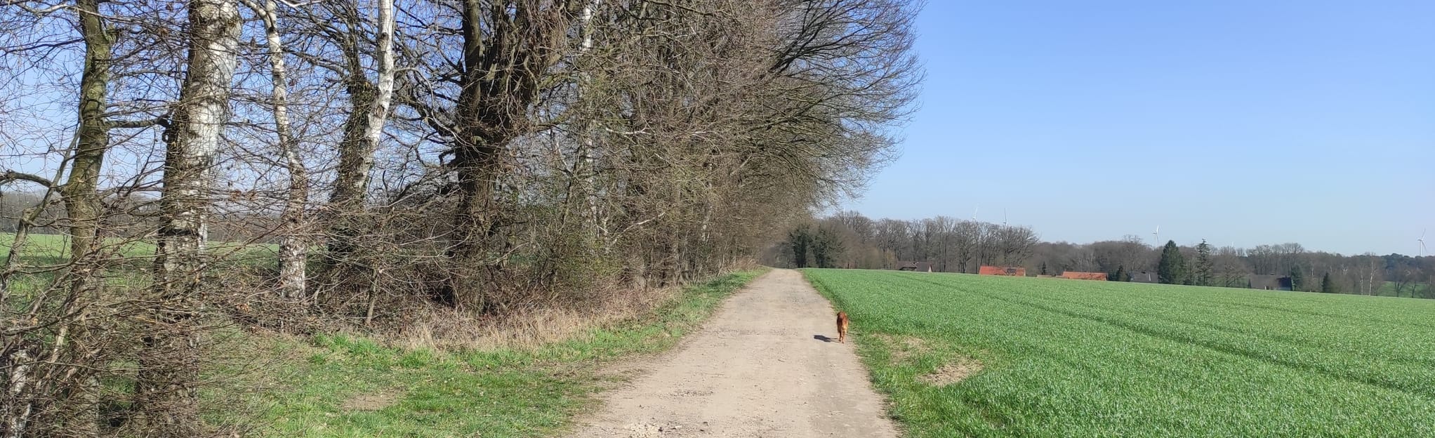 Wiesental Loop Trail A5, North Rhine-Westphalia, Germany - Map, Guide ...