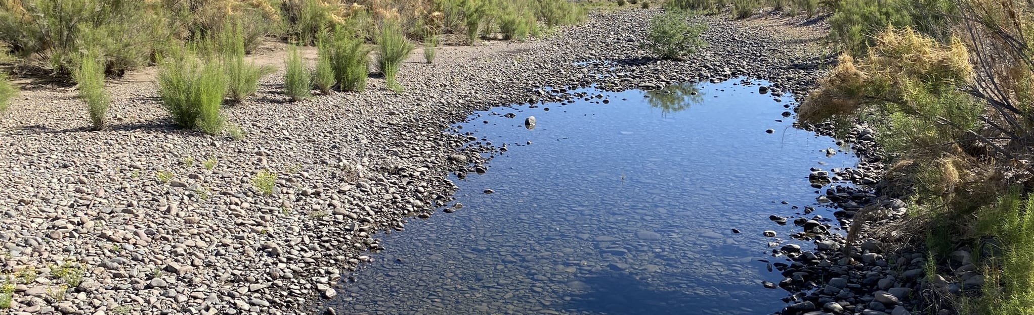 Skunk Creek Trail to New River Trail, Arizona - 809 Reviews, Map ...