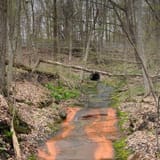 Maple Highlands Trail, Ohio - 307 Reviews, Map | AllTrails