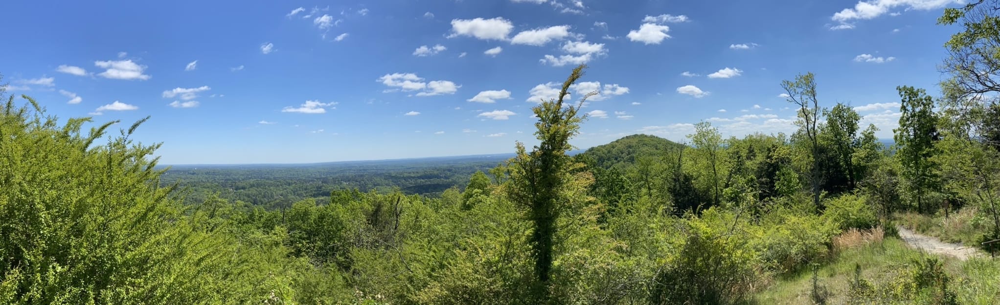 Pigeon Hill to East and West Loop Trail: 5.728 Fotos - Geórgia | AllTrails