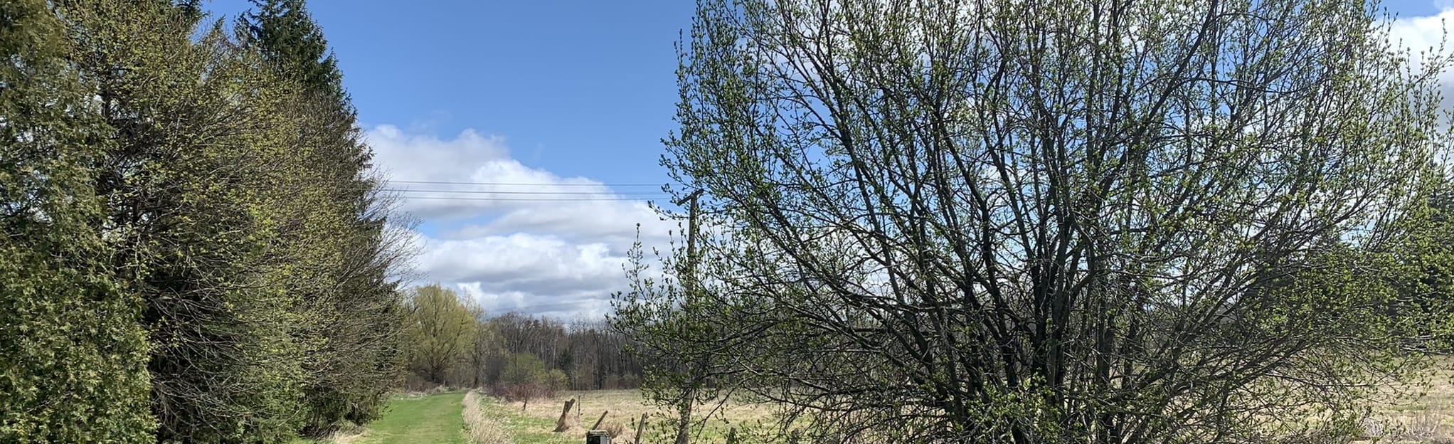 Oak Ridges Trail via Lake Seneca and Mary Lake, Ontario, Canada - 150 ...