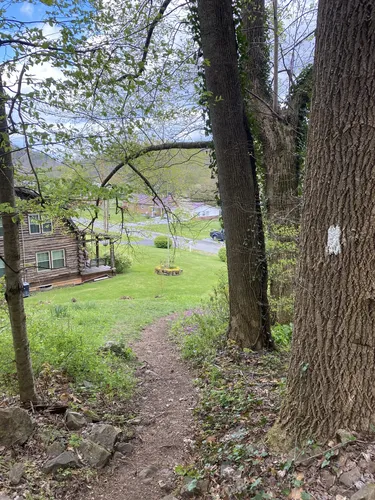 Best Hard Trails in Shady Valley | AllTrails