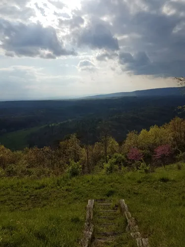 Best Hikes and Trails in Green Ridge State Forest | AllTrails