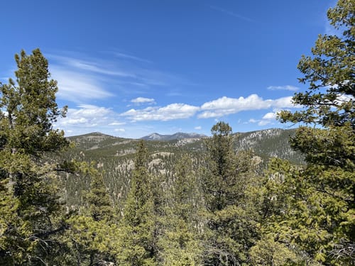 2023 Best 10 Trails and Hikes in Black Hawk | AllTrails