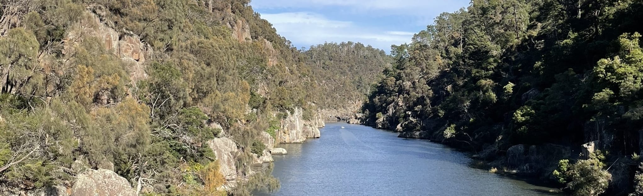 Trevallyn Nature Recreation Area Loop: 62 Reviews, Map - Tasmania ...