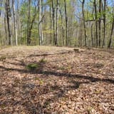 Nebo Ridge Trail, Indiana - 196 Reviews, Map | AllTrails